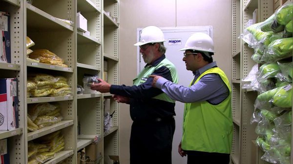 Safety Videos | OSHA Videohub
